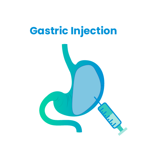 Obesity Surgery - Lokman Hekim Health Group
